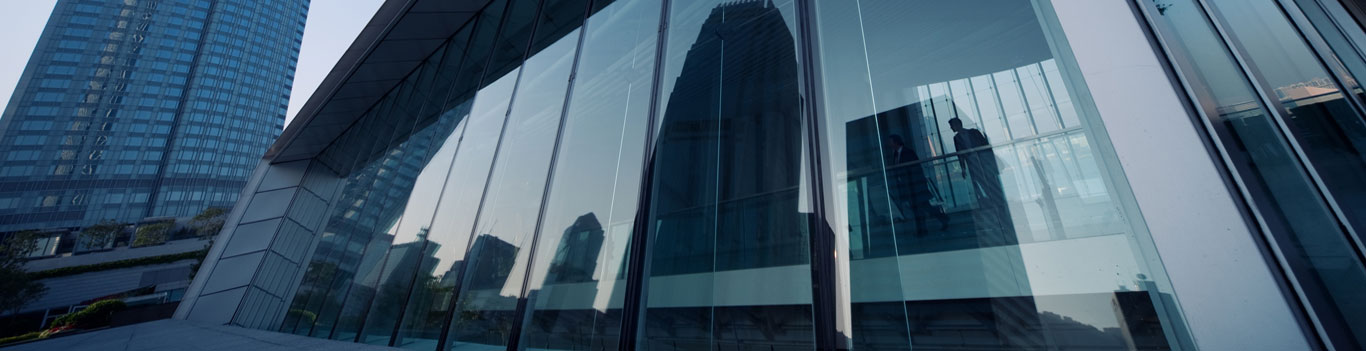 Investment Services - National Professional Planning Group, Inc.